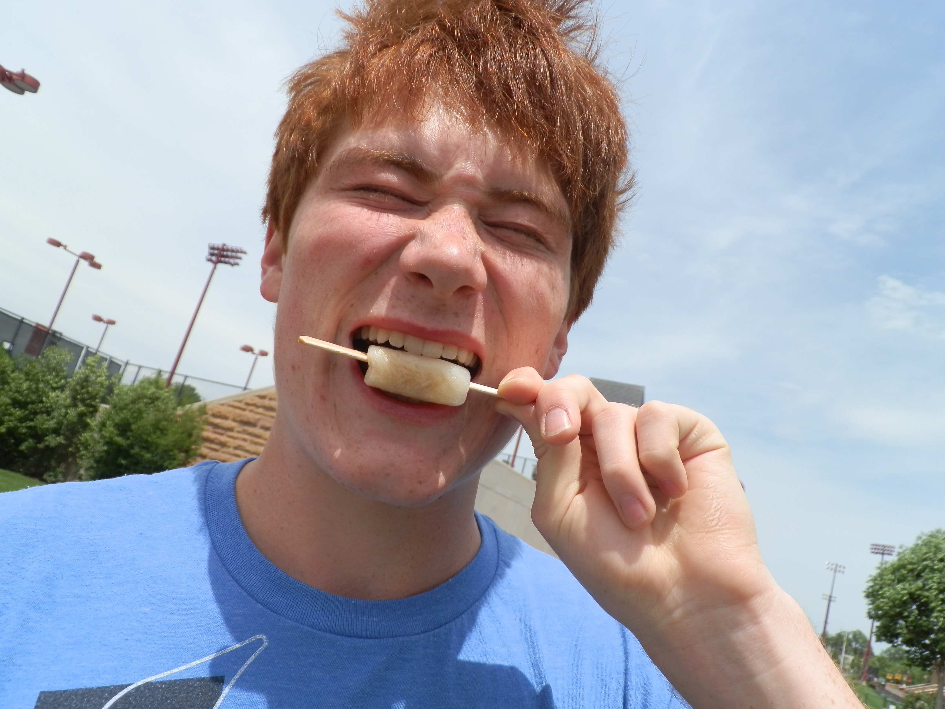 pop stars | aikopops | gourmet ice pops & popsicles | denver, co